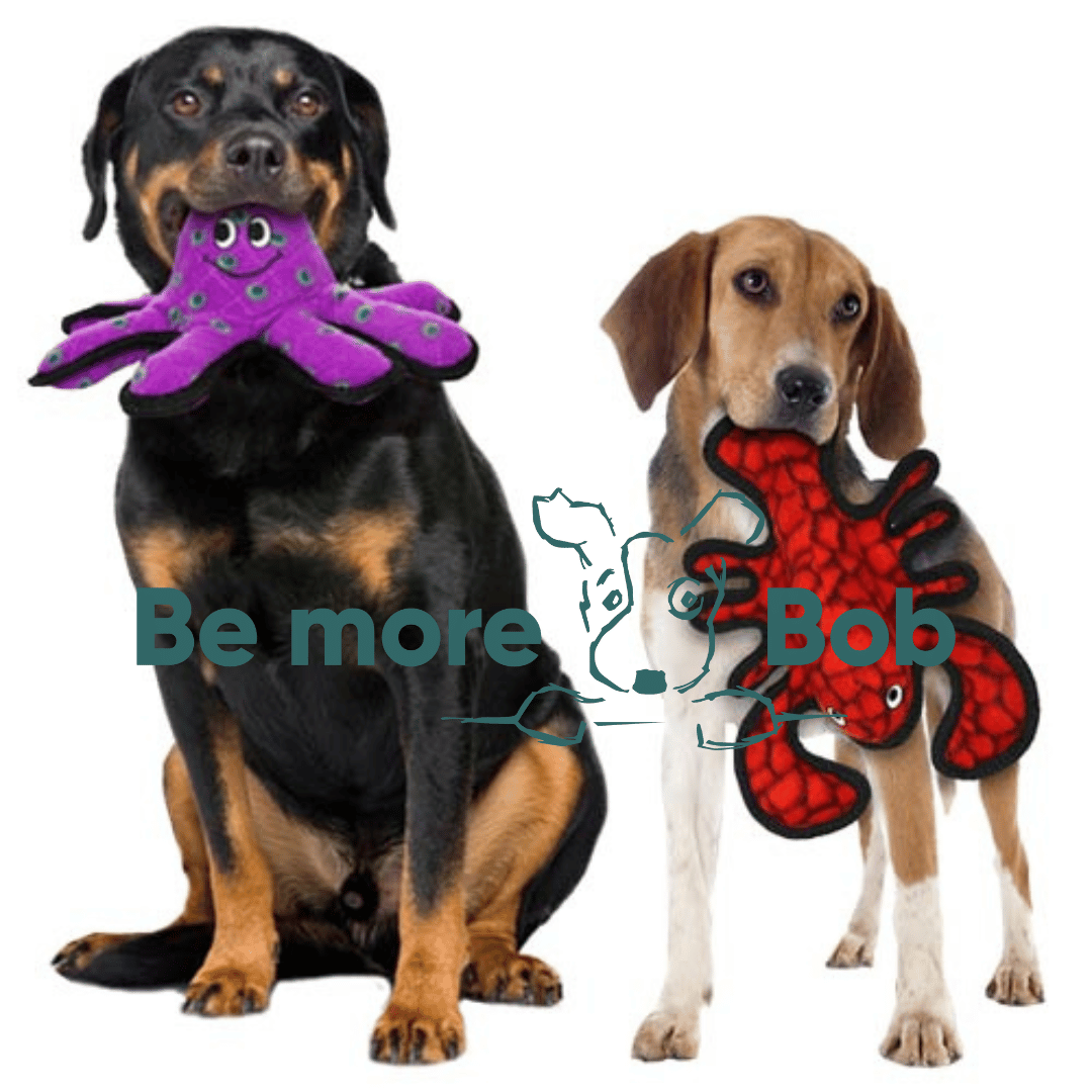 Tuffy Octopus Tough Dog Toy – Be More Bob
