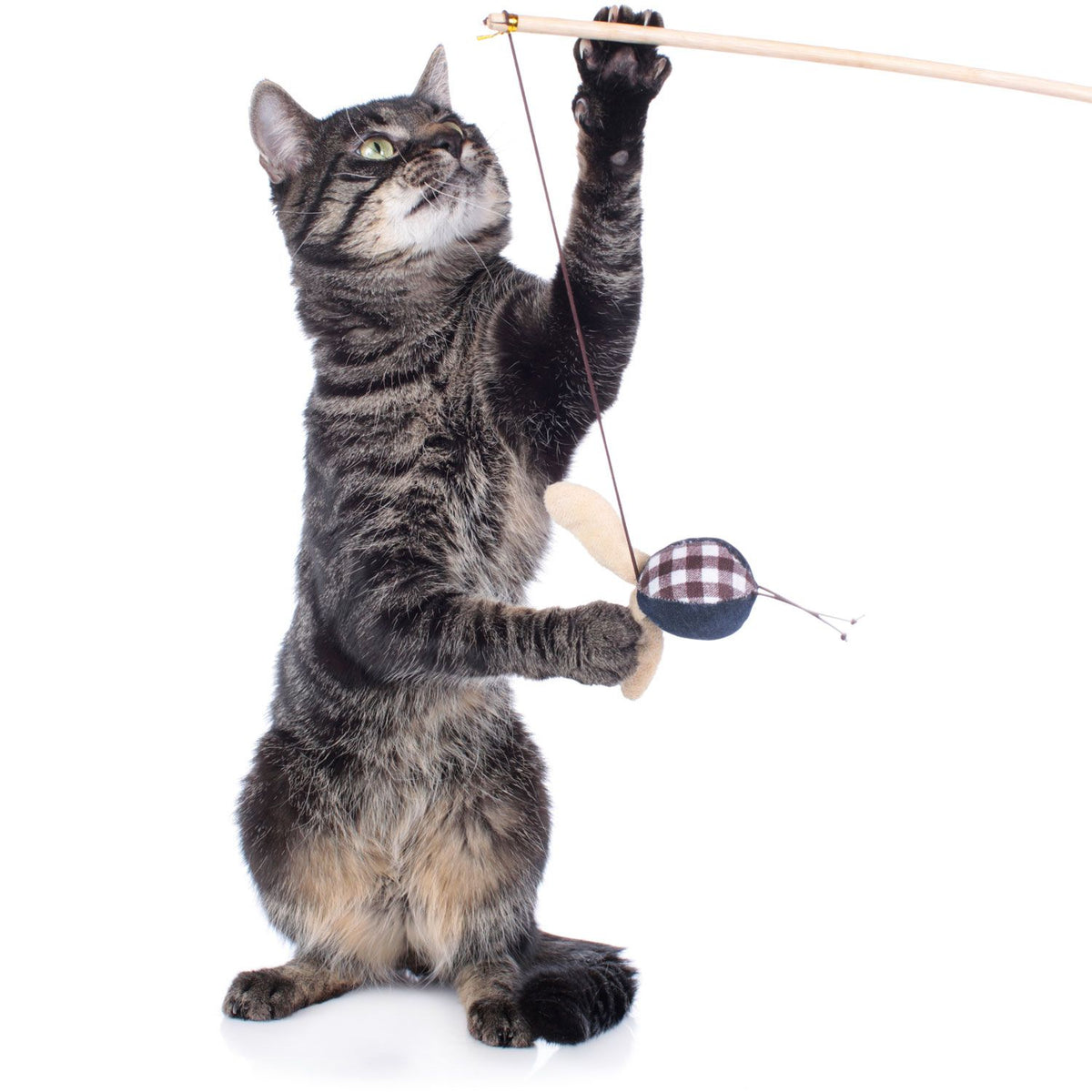 SWIPE! Dangly Rabbity Babbity! – Be More Bob