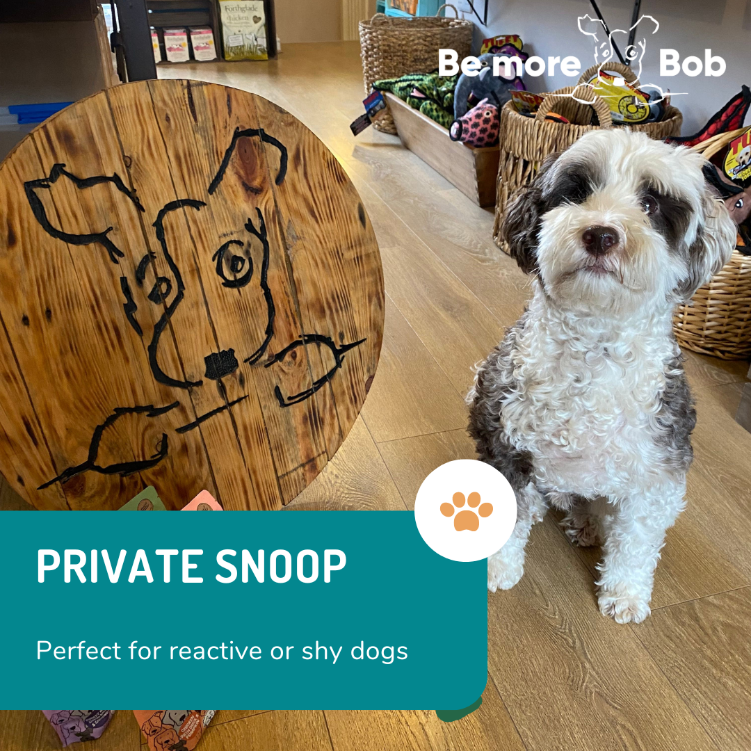 Private Snoop of the store – Be More Bob