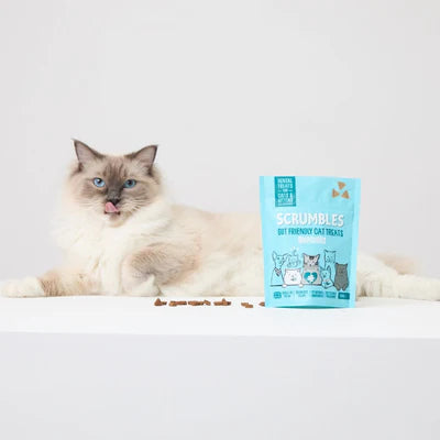 Scrumbles Gnashers: Cat Dental Treats – Be More Bob
